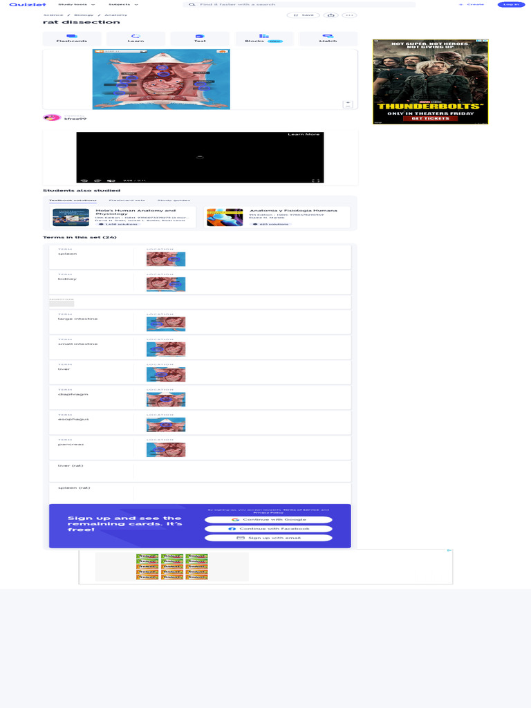 Rat Dissection Diagram Quizlet | PDF | Human Anatomy | Organ (Anatomy)