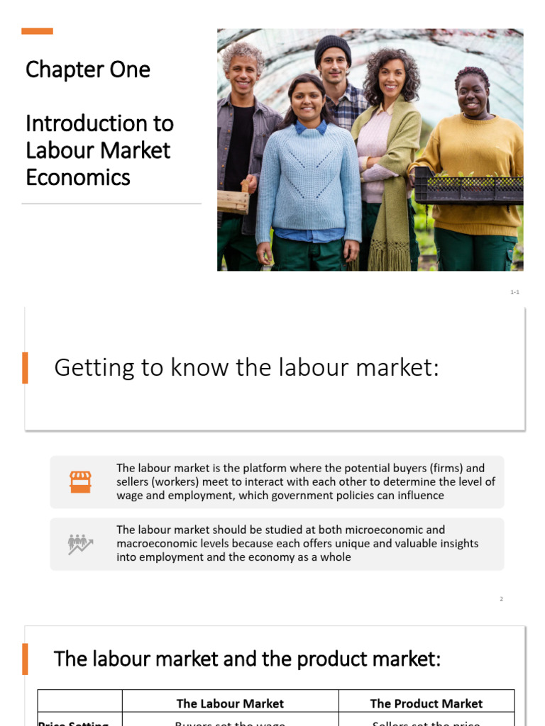 Introduction to Labour Market Economics | PDF | Labour Economics ...