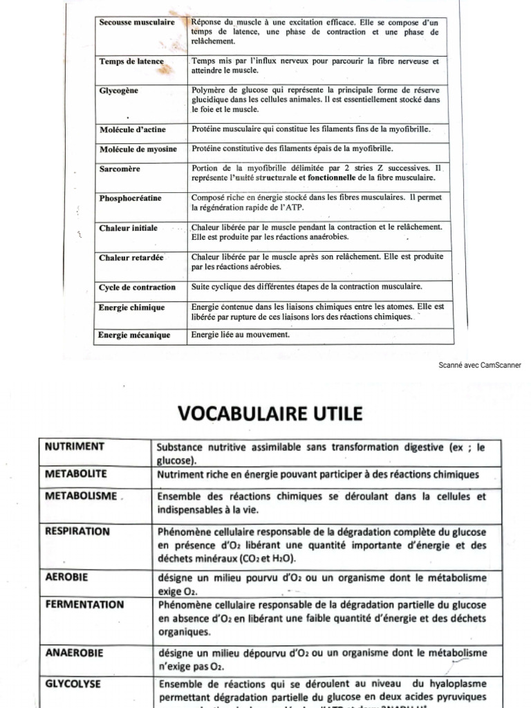 définition d'Atp et le muscle | PDF