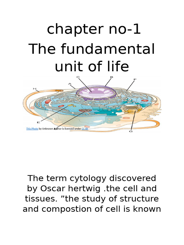 Biology | PDF