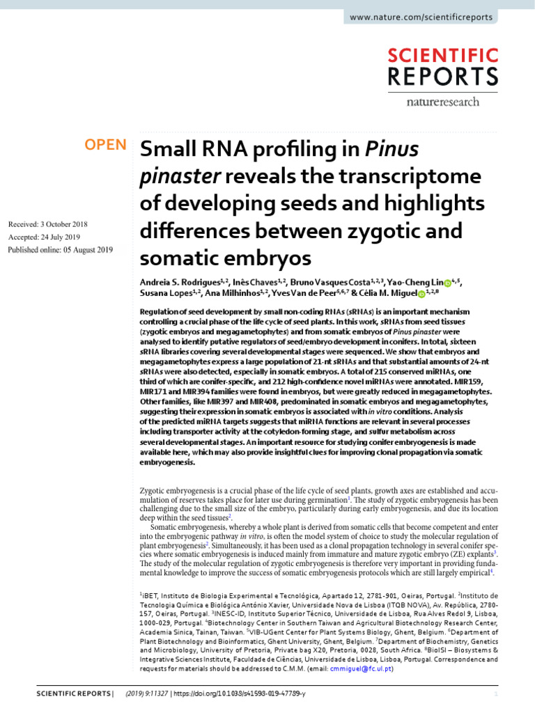 Andreia S. Rodrigues - Small RNA Profiling in Pinus Pinaster Reveals ...