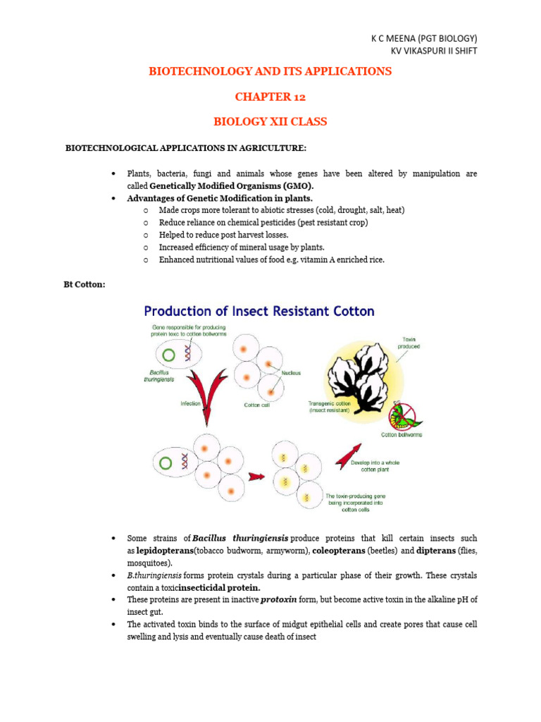 Biotechnology Applications in Agriculture and Medicine | PDF | Rna ...