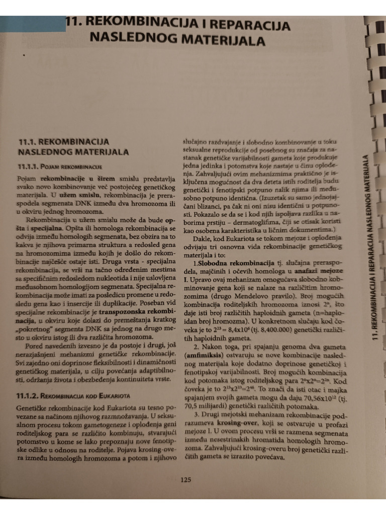 11zon Jpeg to PDF (17) | PDF