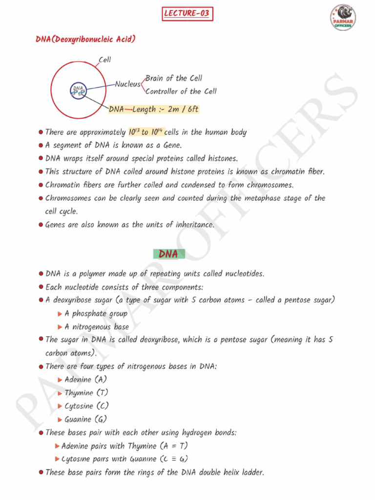 Science (Biology) Dna PDF (Admin) | PDF