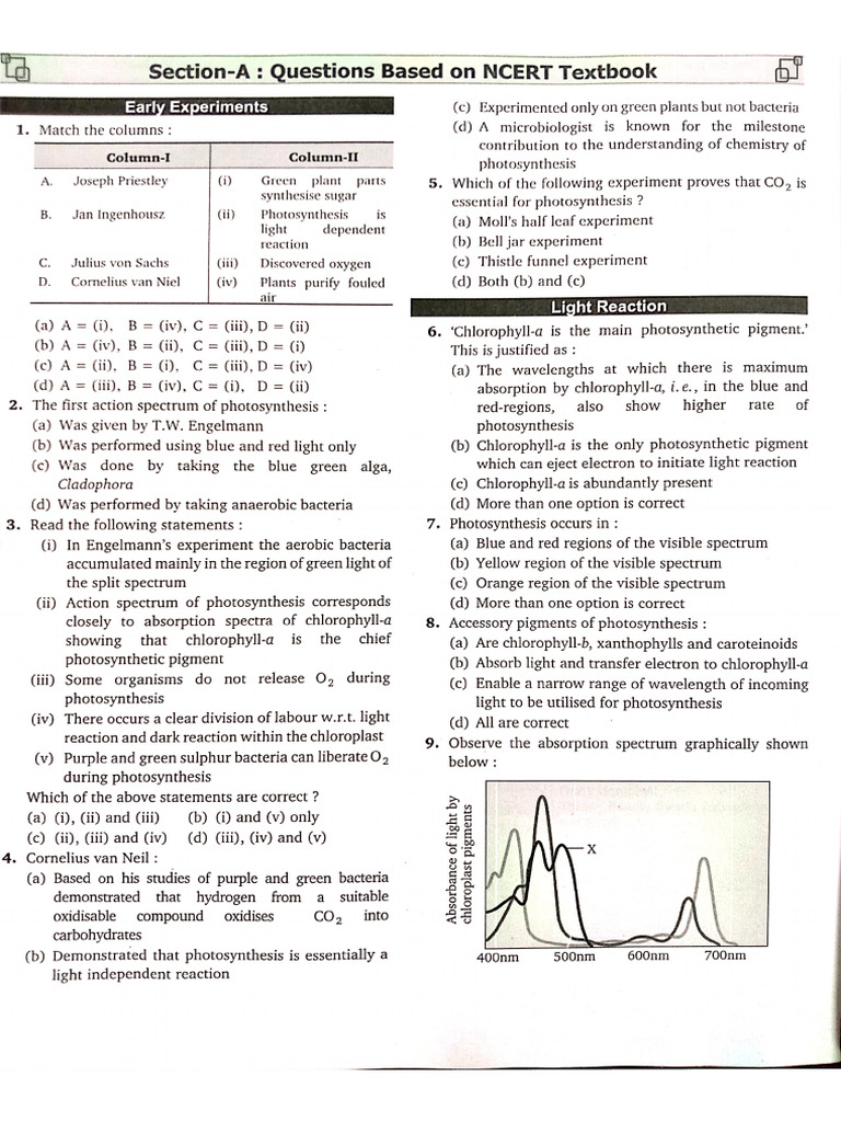 Photosynthesis MCQ | PDF