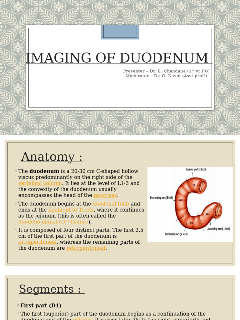 Imaging of Duodenum | PDF | Pancreas | Organ (Anatomy)