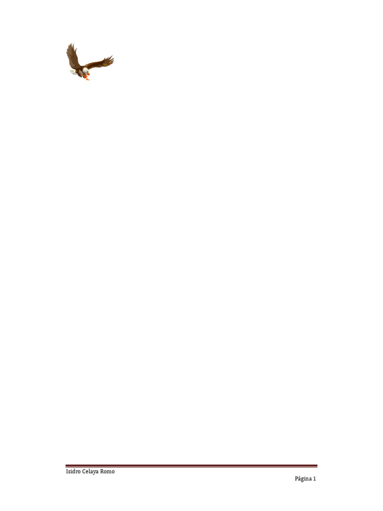 Manual a GNP 2019 | PDF | Seguro | Póliza de seguros