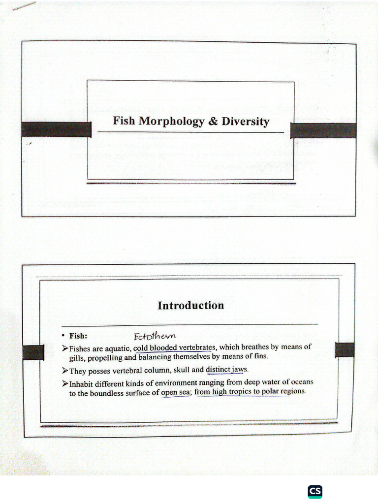 Fish Morphology and Diversity | PDF