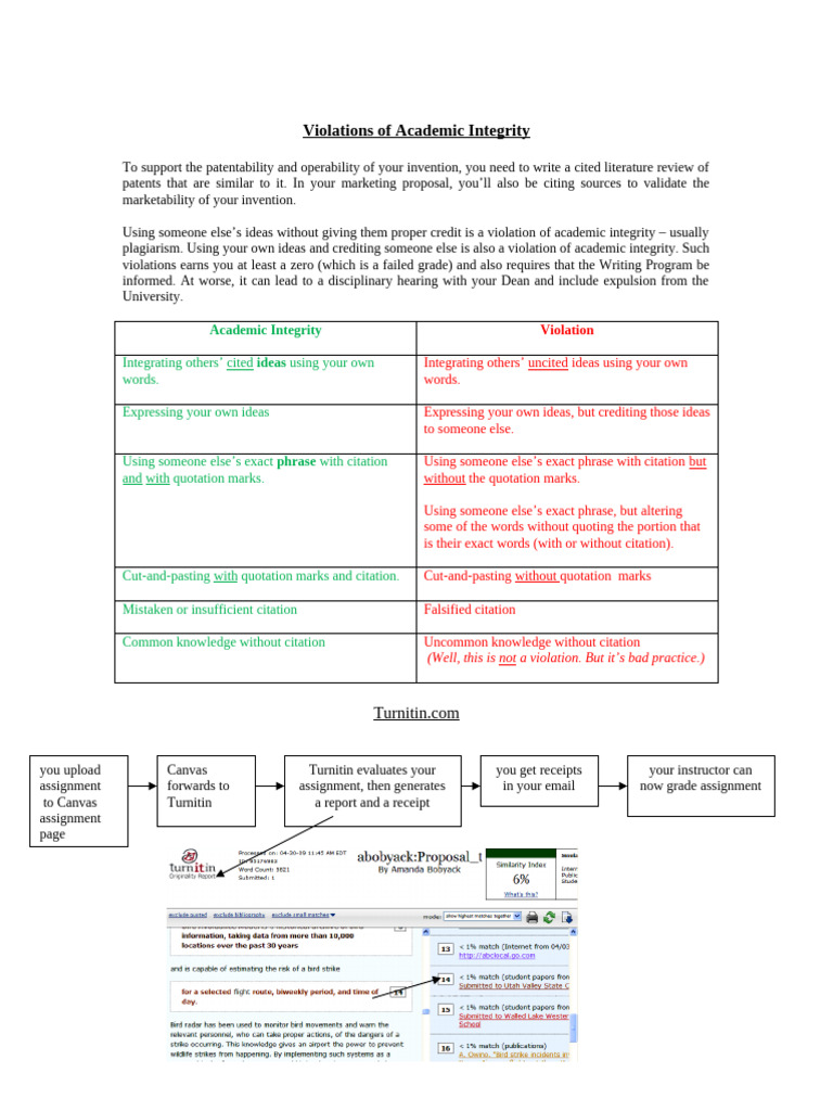 1, Academic Integrity | PDF | Turnitin | Plagiarism
