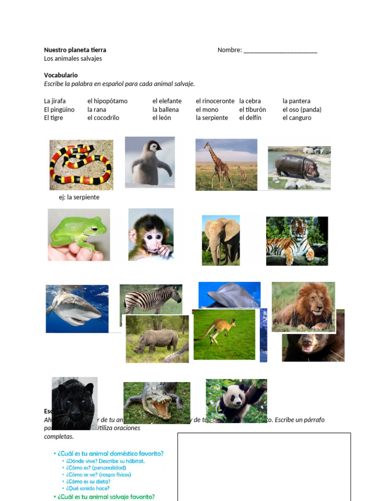 Nuestro Planeta Tierra_Dia 3 | PDF