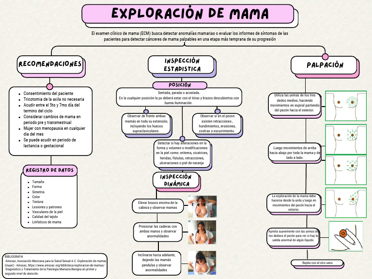 exploracion de mama | PDF | Pecho | Cáncer de mama