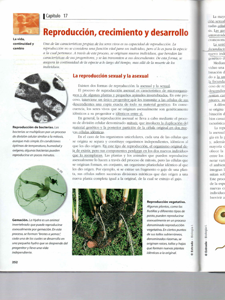 capitulo 17 reproducción, crecimiento y desarrollo | PDF