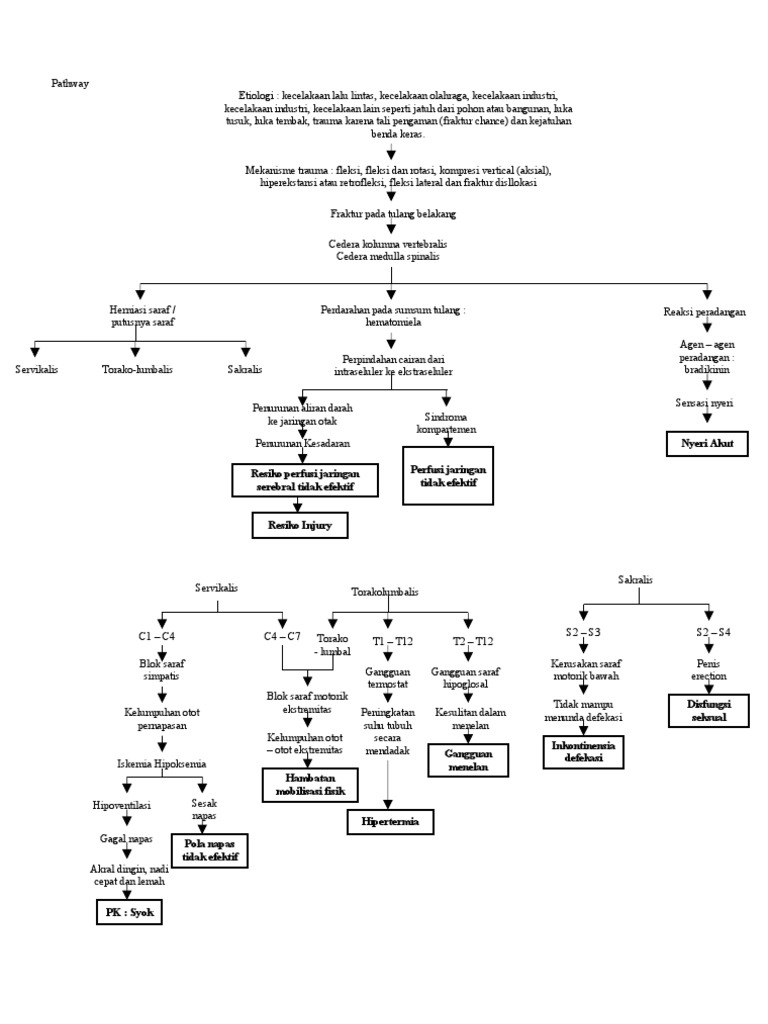 Patofisiologi Dan Pathway | PDF