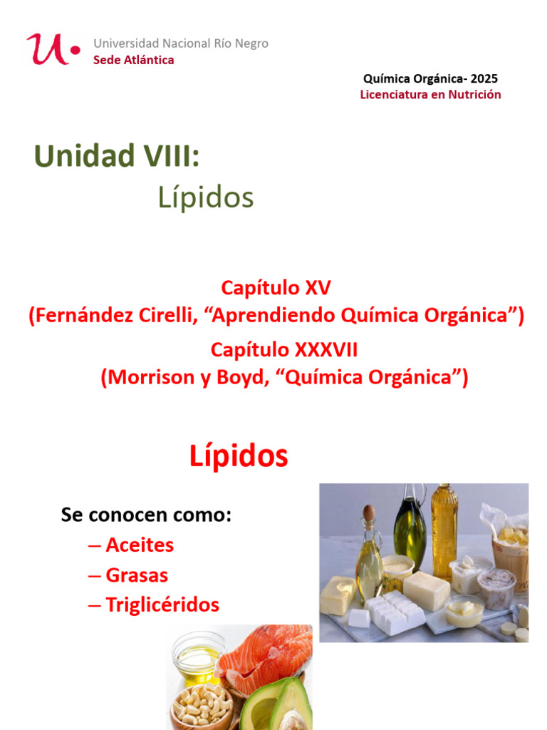 Unidad 8 - Clase 10 QO - Lic. en Nutrición - 2025 | PDF | Lípido | Lipoproteína