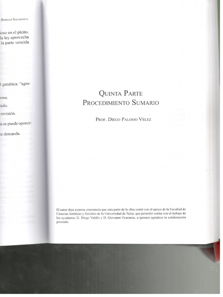 Procedimiento Sumario 425-446 | PDF