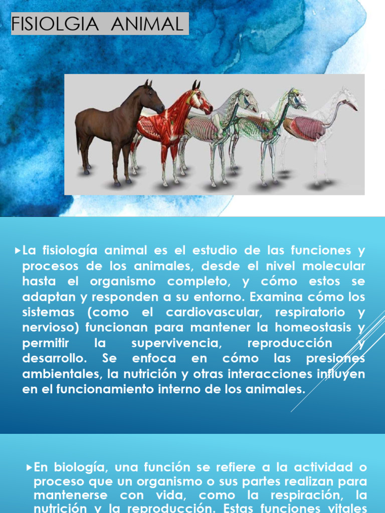 Fisiología Animal: Funciones y Adaptaciones | PDF | Las bacterias ...