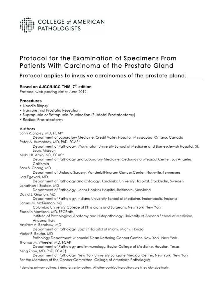 8 | PDF | Pathology | Prostate