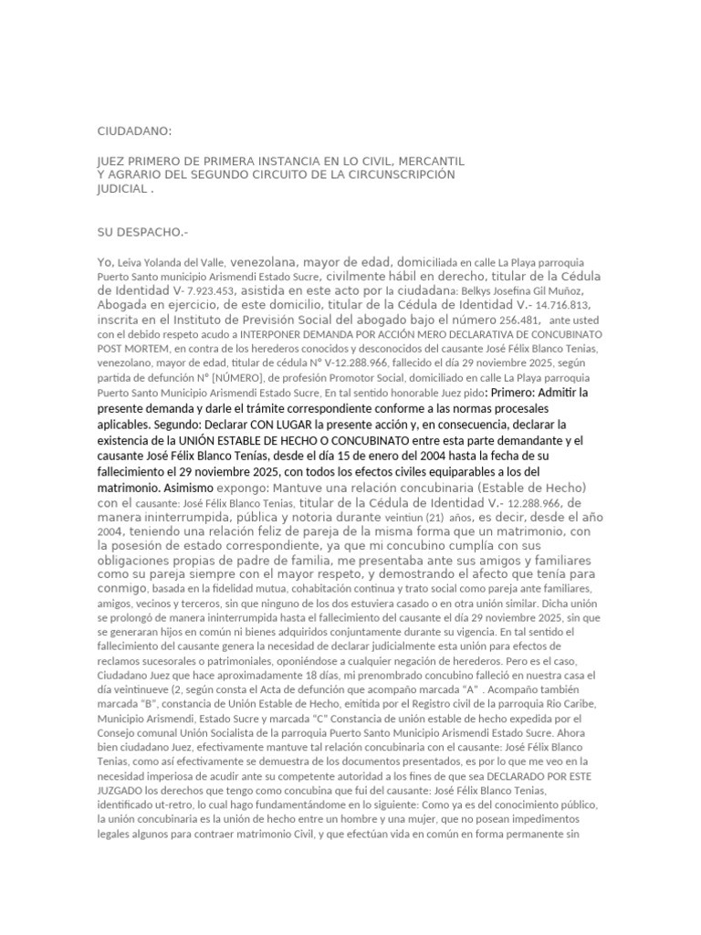 Accion Mero | PDF | Matrimonio | Demanda judicial