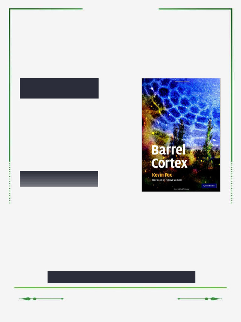 Barrel Cortex 1st Edition Kevin Fox ebook master edition | PDF ...