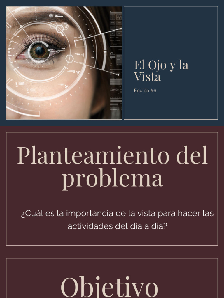 Importancia y Funciones de la Vista | PDF | Ojo humano | Percepción visual