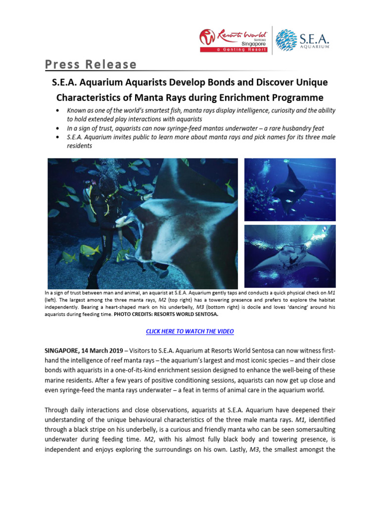 SEA Aquarium Aquarists Develop Bonds and Discover Unique ...