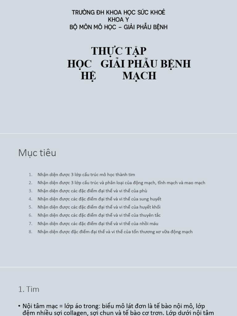 Thực Tập Mô-gpb Hệ Tim Mạch - Uhs | PDF