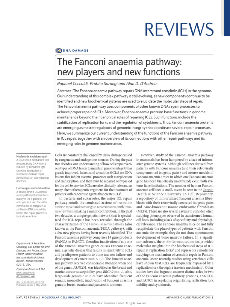 FANCA via | PDF | Dna Repair | Ubiquitin