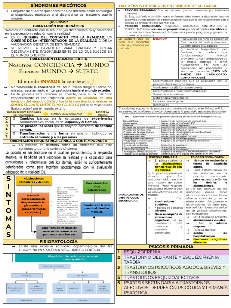 SÍNDROMES PSICÓTICOS_removed | PDF | Psicosis | Esquizofrenia