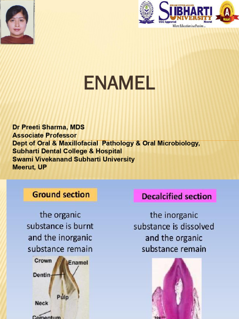 enamel-20207271813150 | PDF | Tooth Enamel | Epithelium