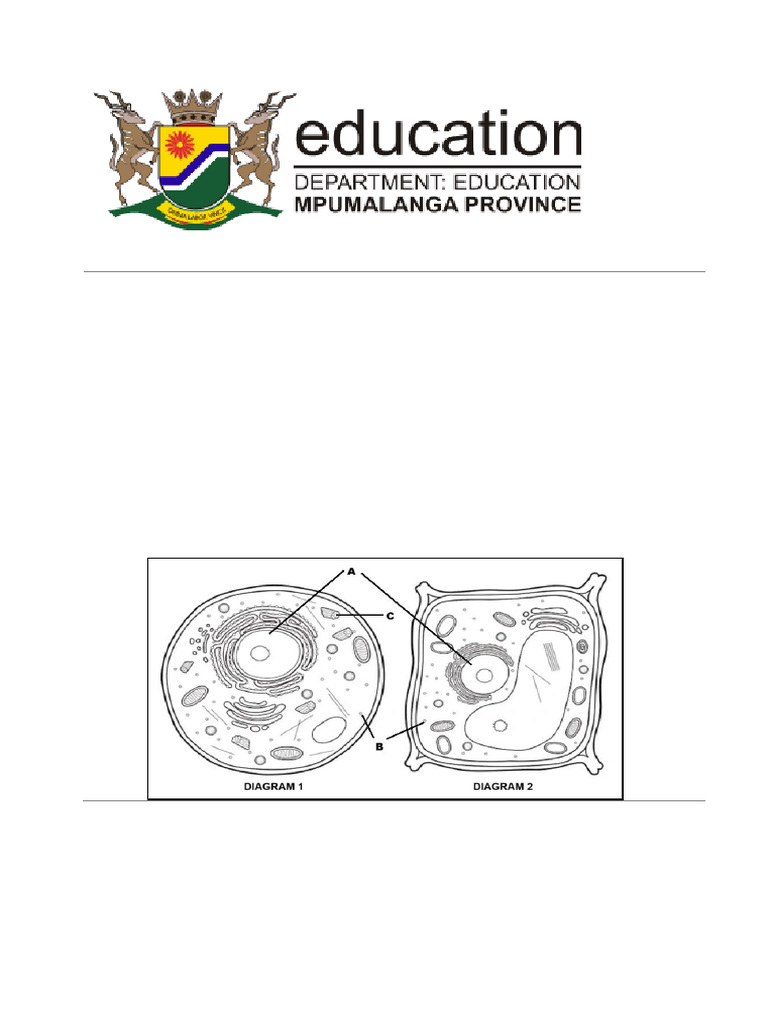 Life Sciences Gr 12 Baseline Assessment | PDF