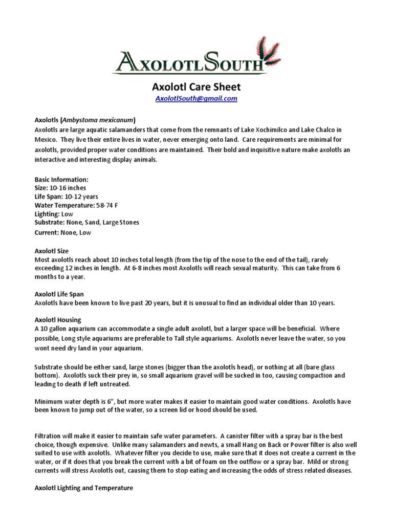 Axolotl Care Sheet V 2 | PDF | Aquarium | Water