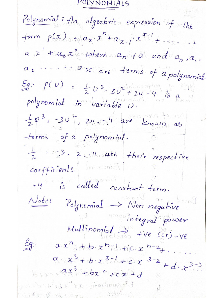 Polynomial Class 8 | PDF