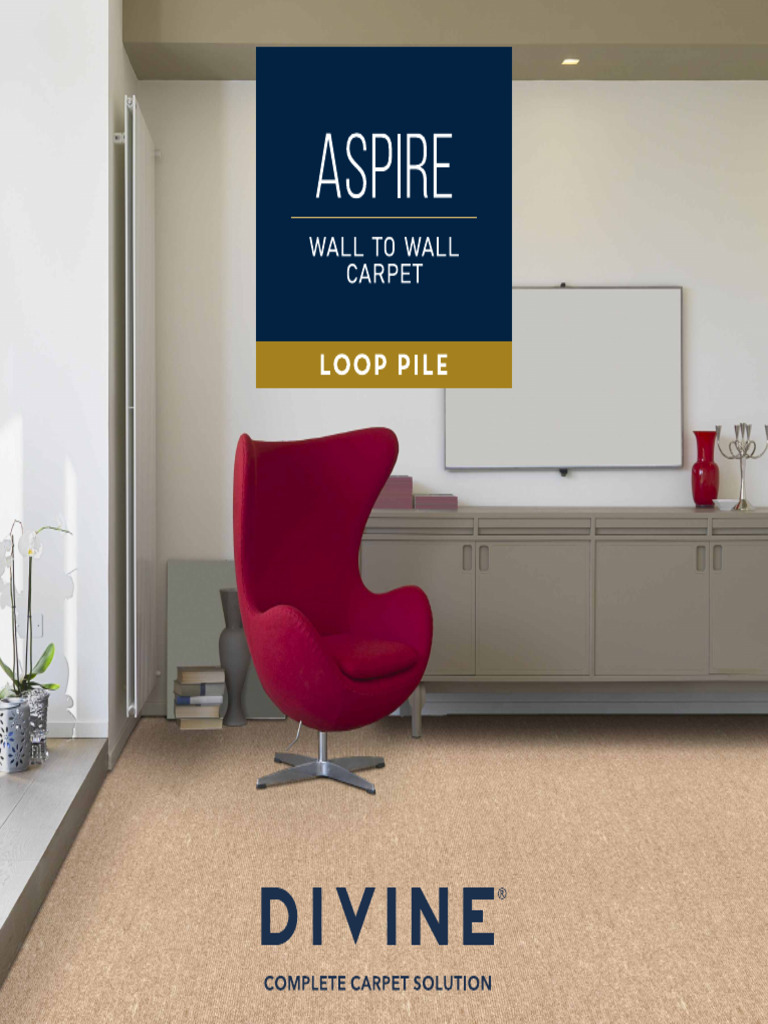 WW ASPIRE | PDF