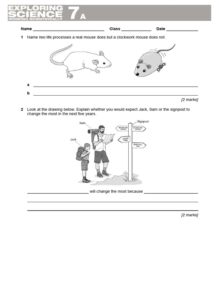 Life Processes and Organ Functions Quiz | PDF | Acid | Gases