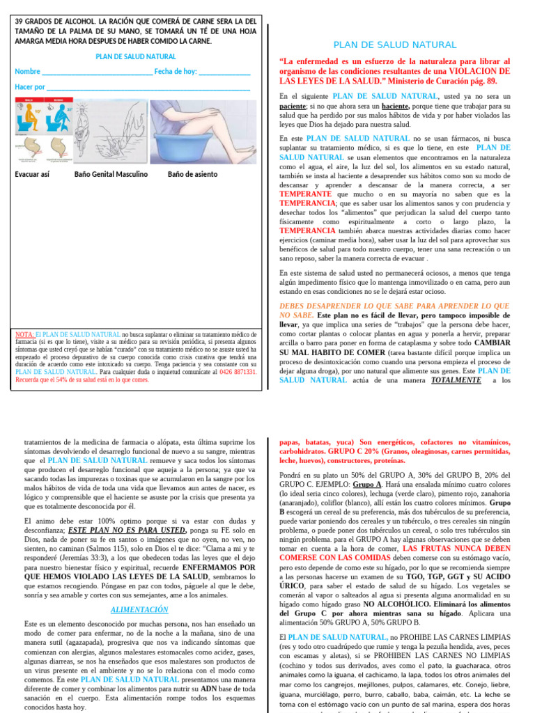 Plan de Salud Natural en Word | PDF | Alimentos | Leche