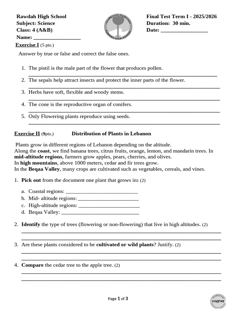 Science Final Test for Grade 4 Students | PDF | Trees | Plants