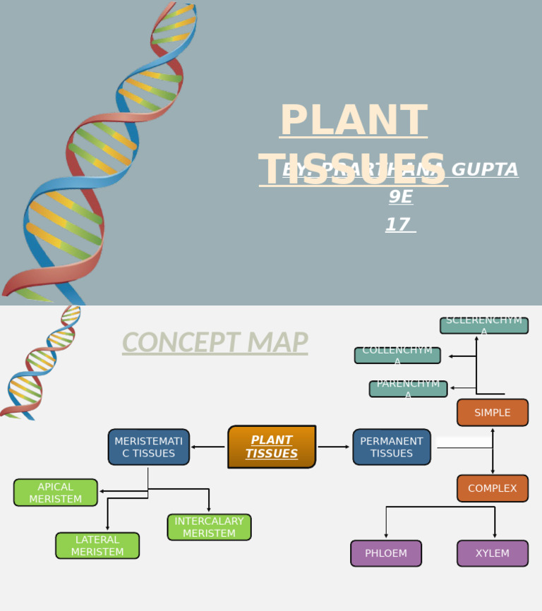 BIO concept map | PDF