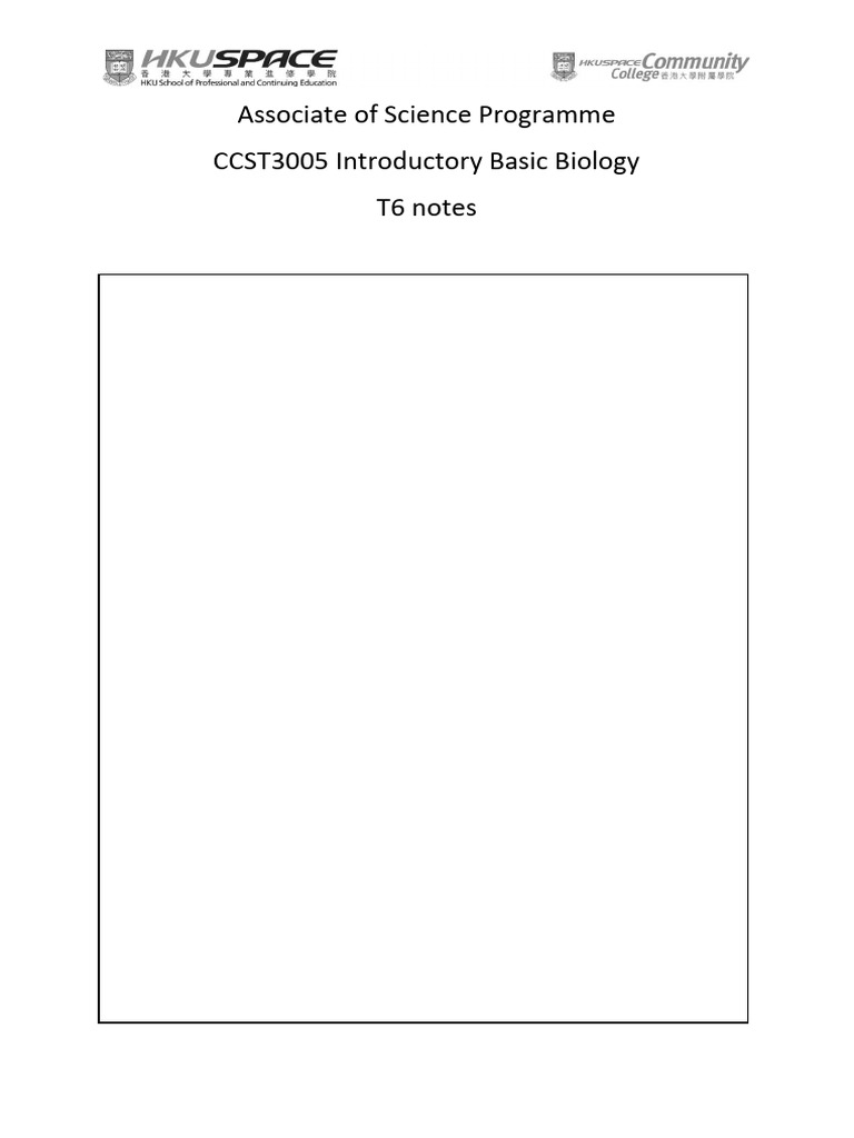 T6 answer | PDF | Ear | Auditory System