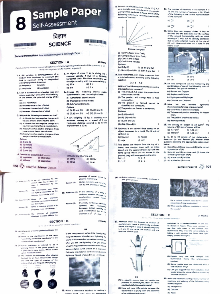 Sample Paper 8 | PDF | Ion | Physical Sciences