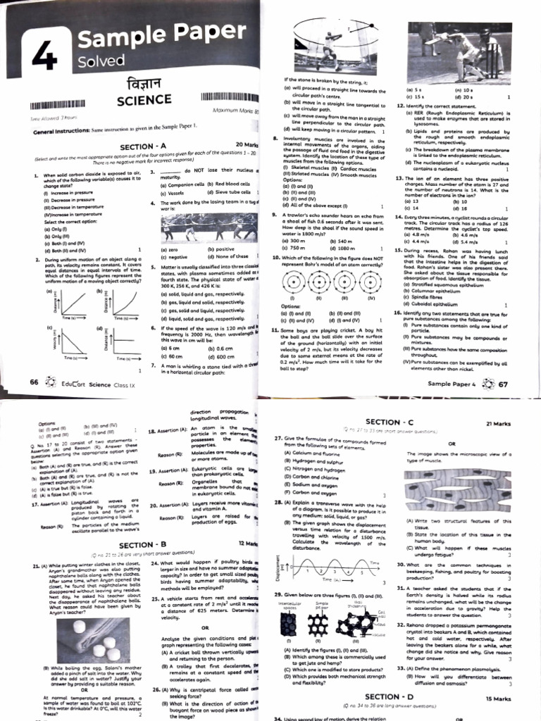 Sample Paper 4 | PDF | Endoplasmic Reticulum | Epithelium