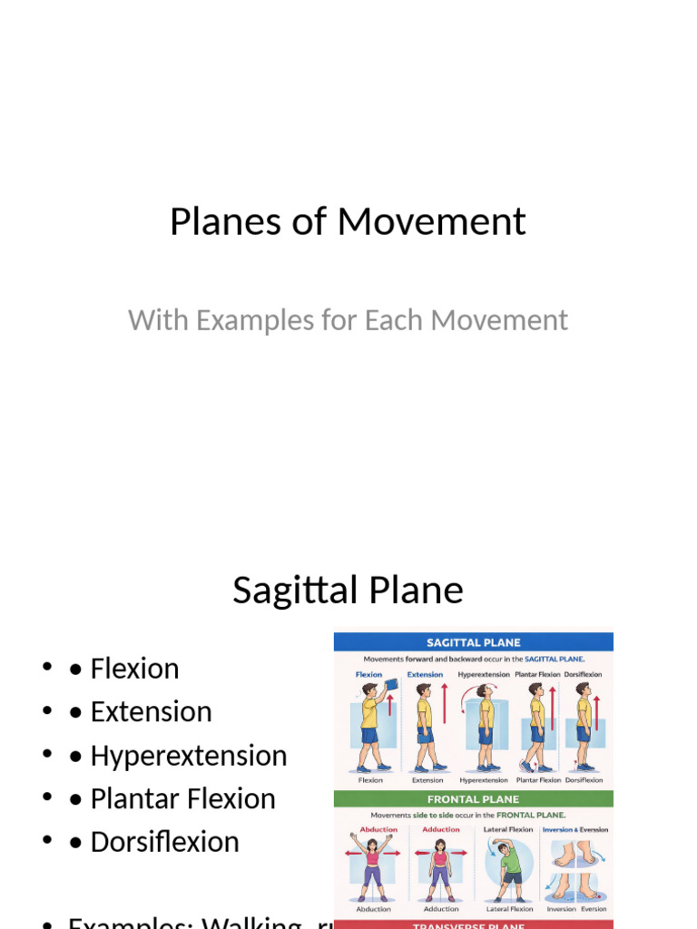 Planes of Movement With Examples | PDF