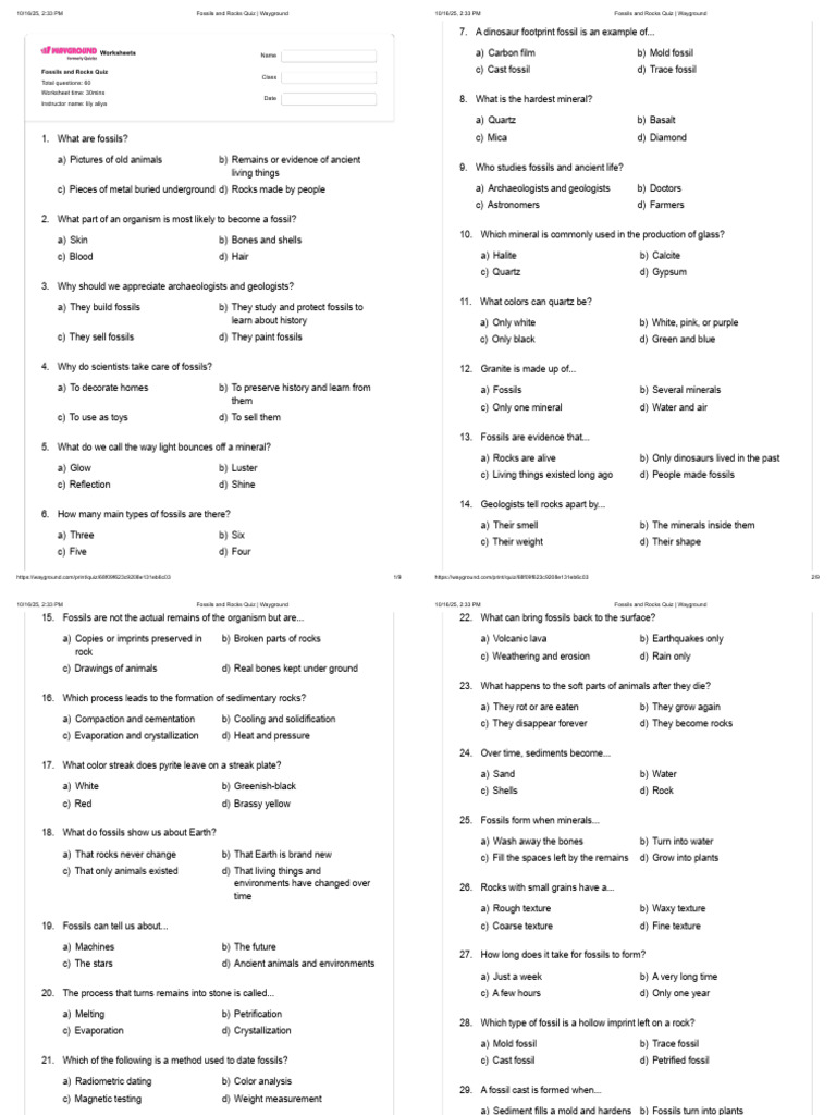 Fossils and Rocks Quiz Worksheet | PDF | Rock (Geology) | Fossil