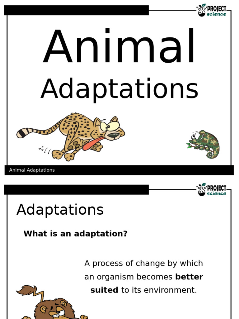 Animal Adaptations PowerPoint | PDF | Mimicry | Adaptation