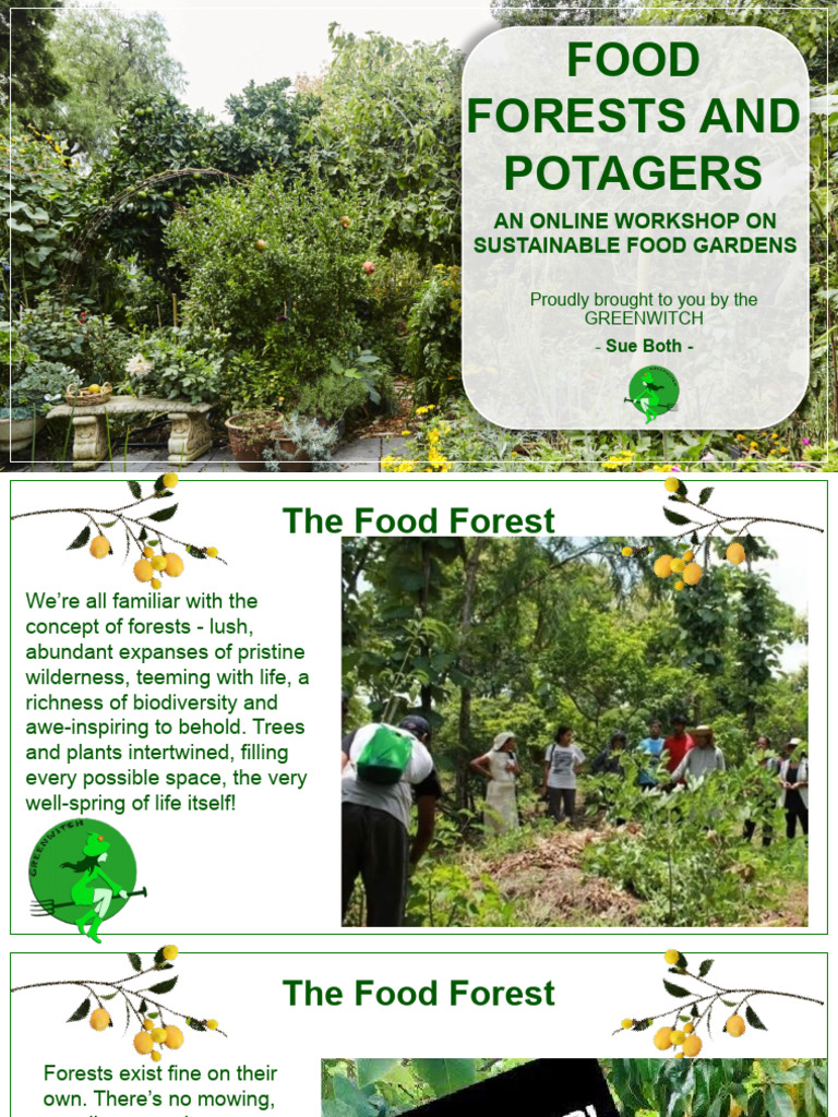 Sustainable Food Gardens Workshop | PDF | Forests | Ecosystem