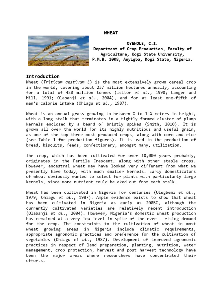 Wheat | PDF | Wheat | Sowing