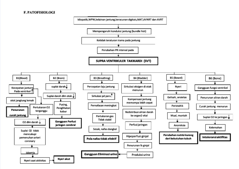 PDF Pathway SVT - Compress | PDF