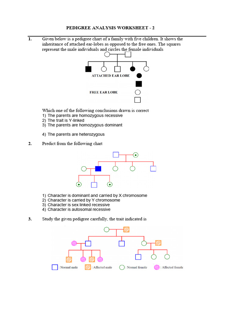 Pedigree Analysis Worksheet Answers | PDF | Dominance (Genetics) | Genotype