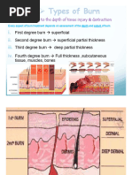 TBSA Burn Estimation for 2nd & 3rd Degree | PDF | Arm | Human Anatomy