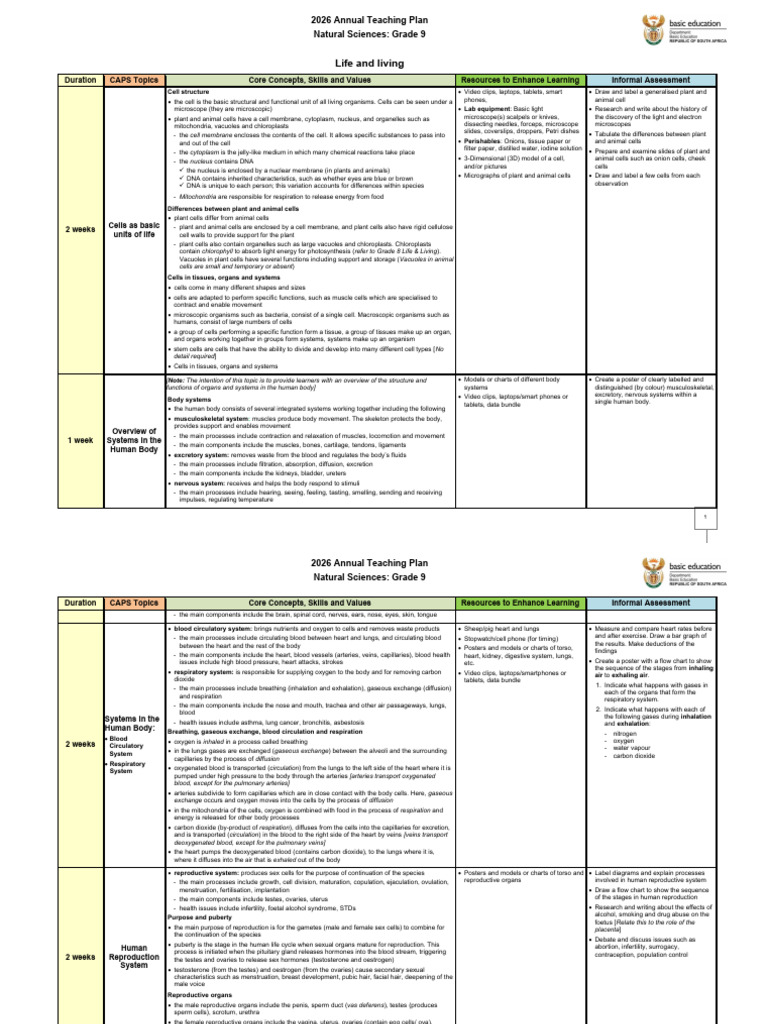 Grade 9 Natural Sciences Teaching Plan | PDF | Respiratory System | Rust