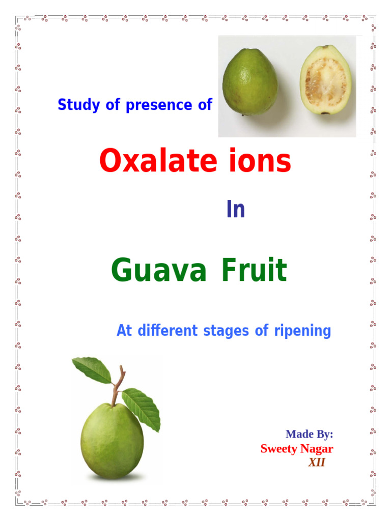 440962155-Chemistry-investigatory-project-presence-of-oxalate-ions-in-guava-at-different-stages ...